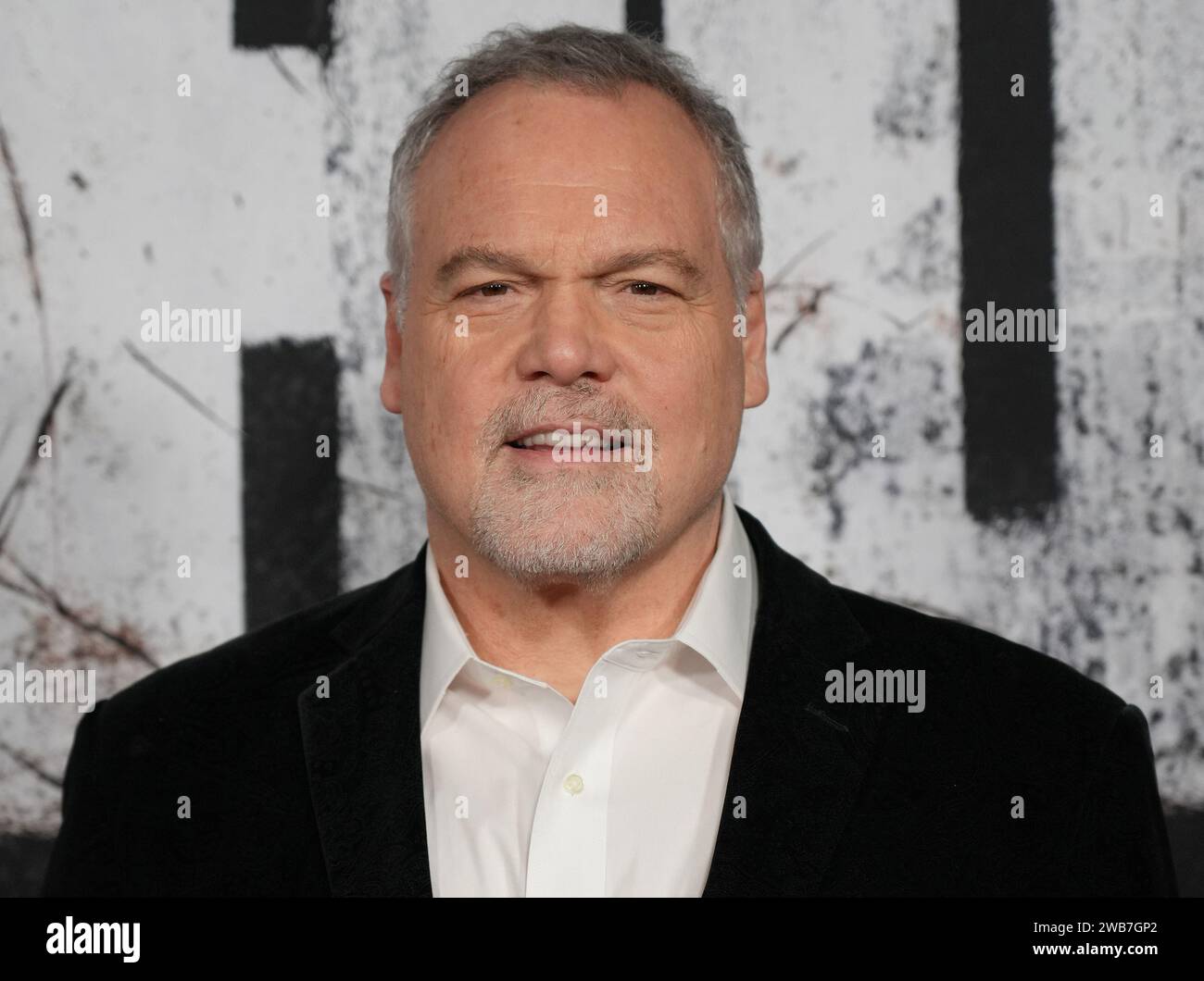 Vincent donofrio echo -Fotos und -Bildmaterial in hoher Auflösung – Alamy