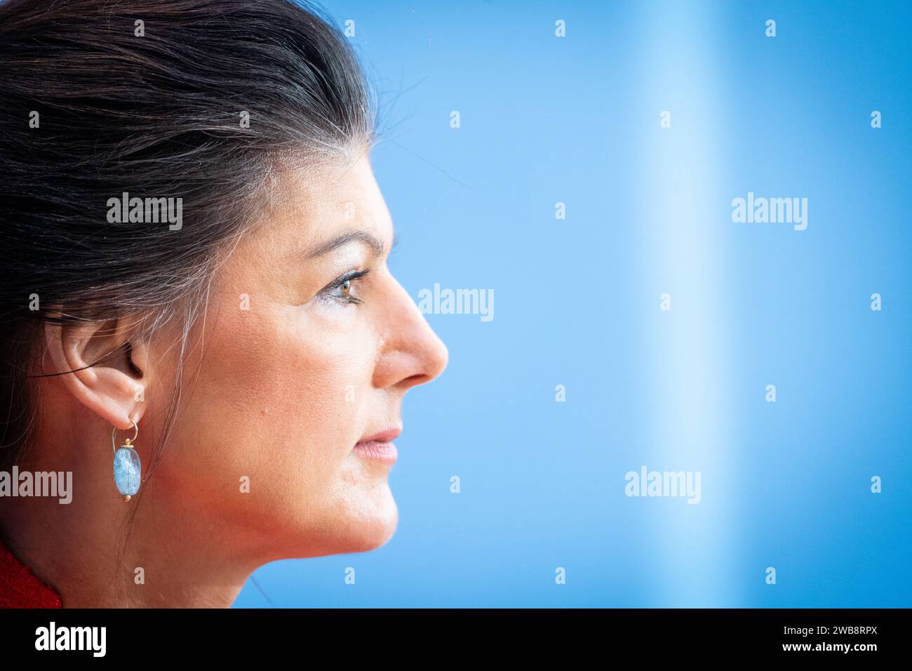 Jahresauftaktklausur Bundesvorstand Bündnis 90/die Grünen in Berlin ...