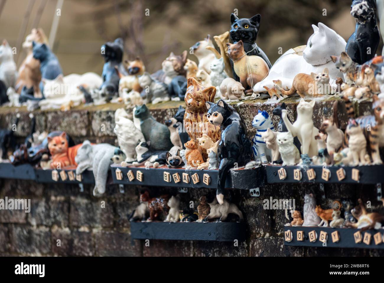 Newhaven, 6. Januar 2024: Die berühmte Cat Wall Stockfotografie - Alamy