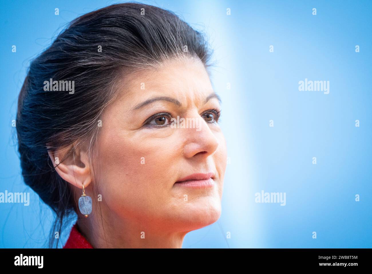 Jahresauftaktklausur Bundesvorstand Bündnis 90/die Grünen in Berlin ...