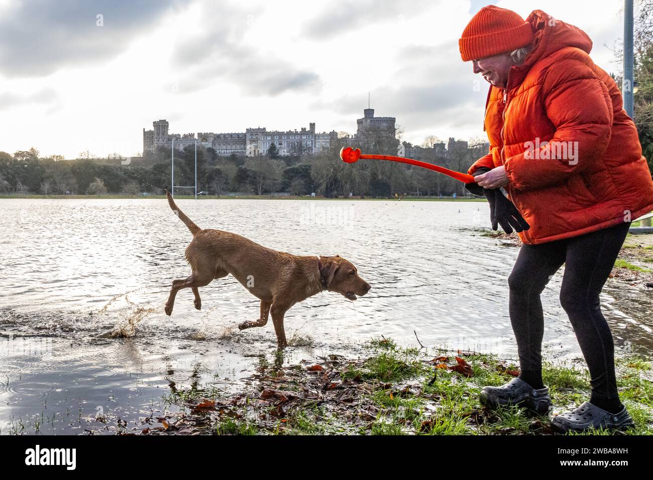 Hund spielt im hochwasser -Fotos und -Bildmaterial in hoher Auflösung ...