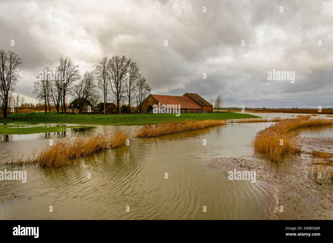 Werkendam, Niederlande, 29. Dezember 2024: Aufsteigendes Wasser mit ...