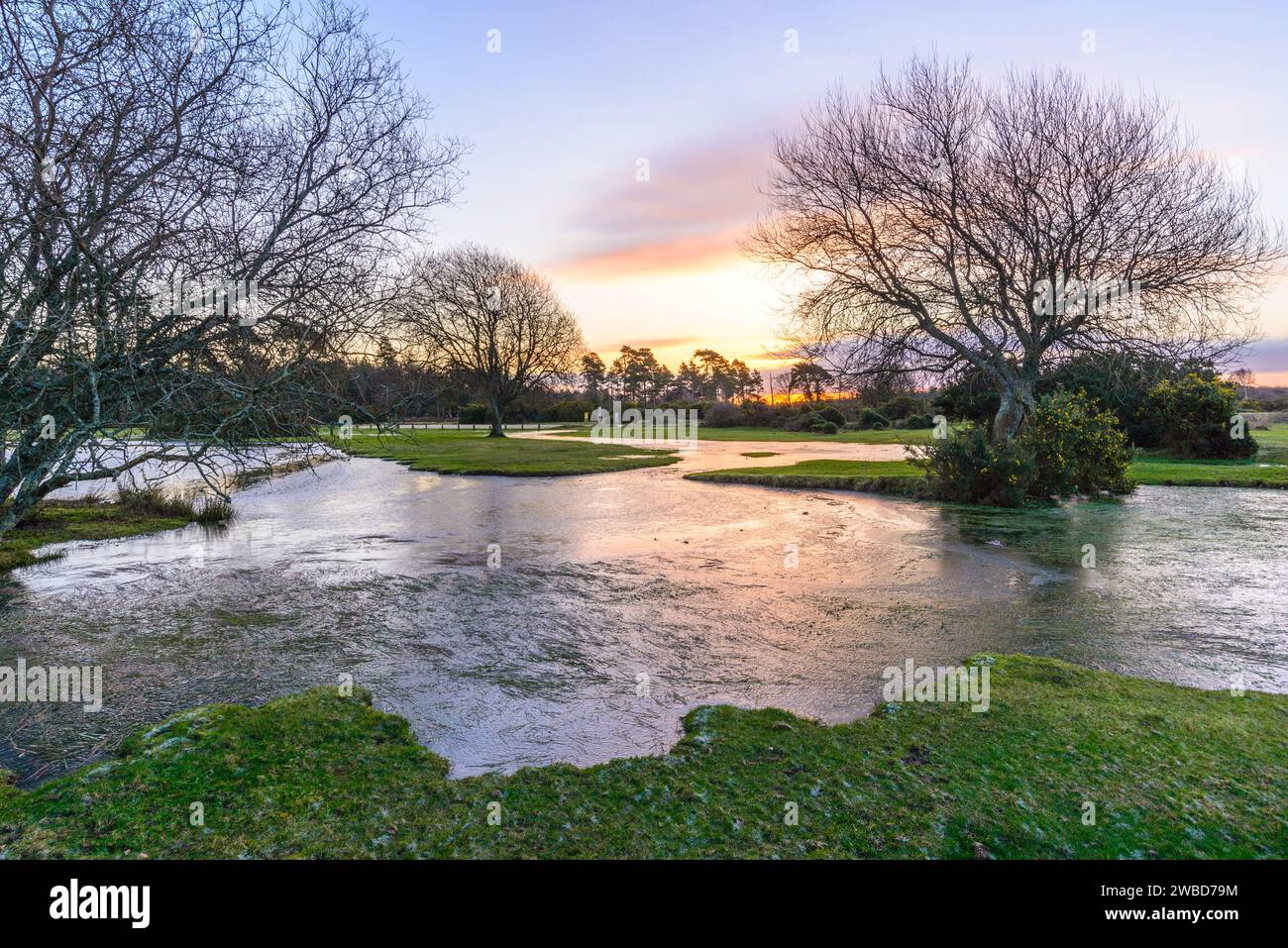 Stoney Cross, New Forest, Hampshire, Großbritannien, 10. Januar 2024 ...