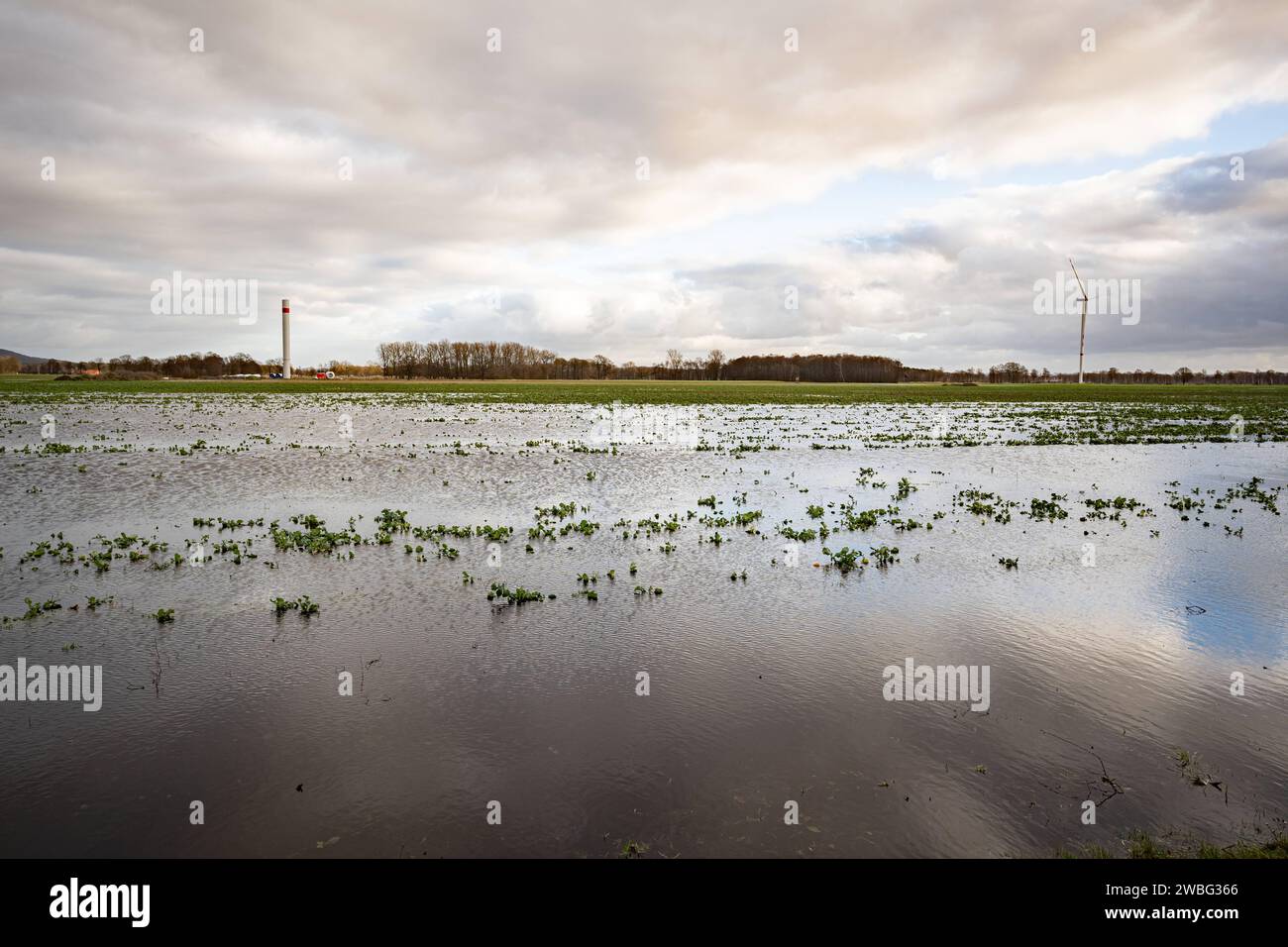 Dauerregen - Hochwasser, überflutete Ackerfläche mit Zwischenfrüchten ...