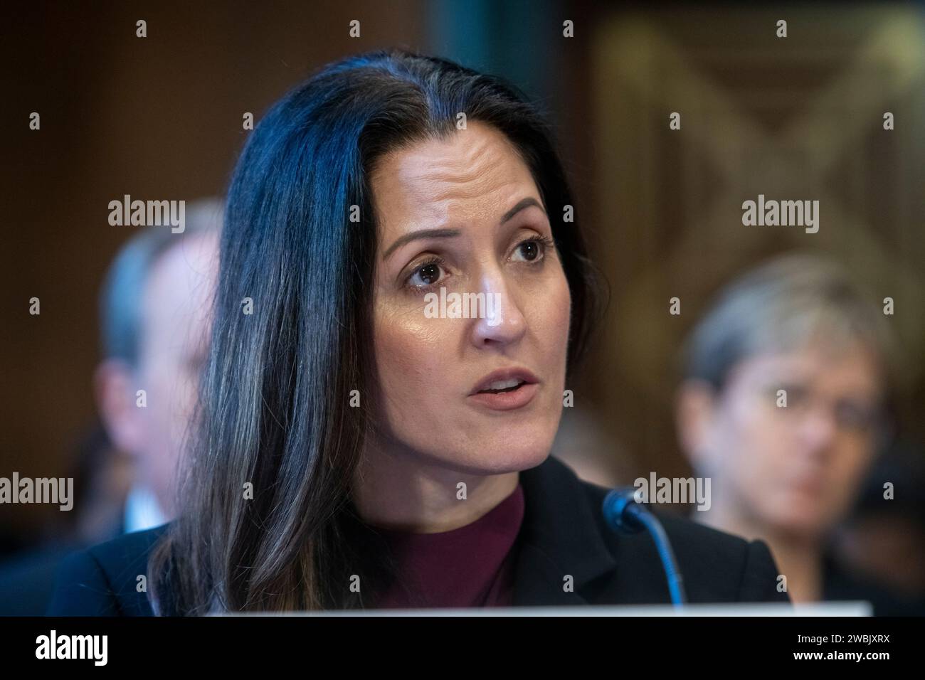 Danielle Coffey, Präsidentin und CEO der News Media Alliance, erscheint ...