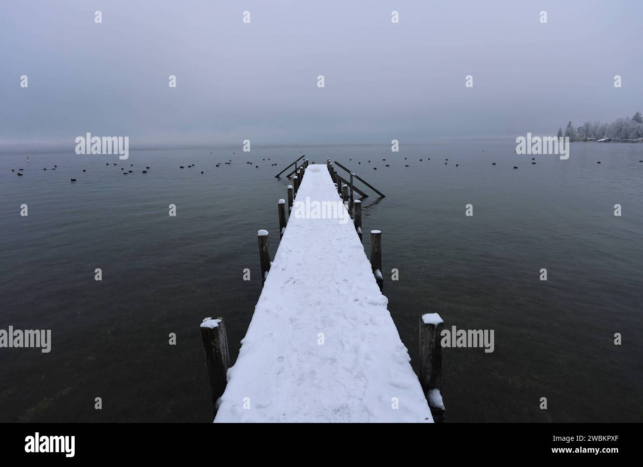 Tutzing, Bayern, Deutschland 11. Januar 2024: Ein Wintertag in Tutzing ...