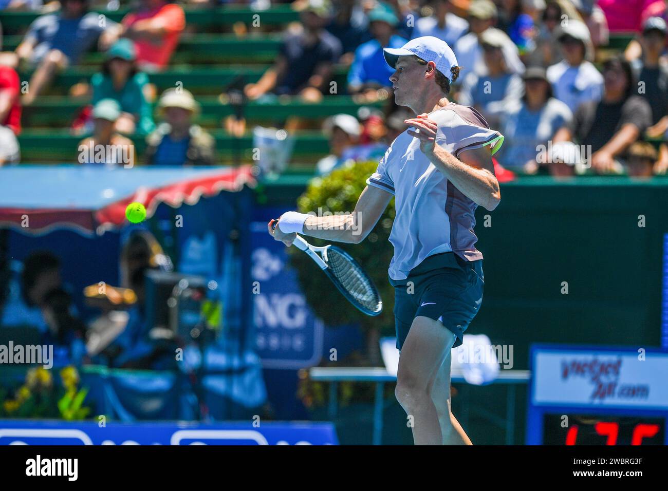 Jannik sinner rasentennis -Fotos und -Bildmaterial in hoher Auflösung – Alamy
