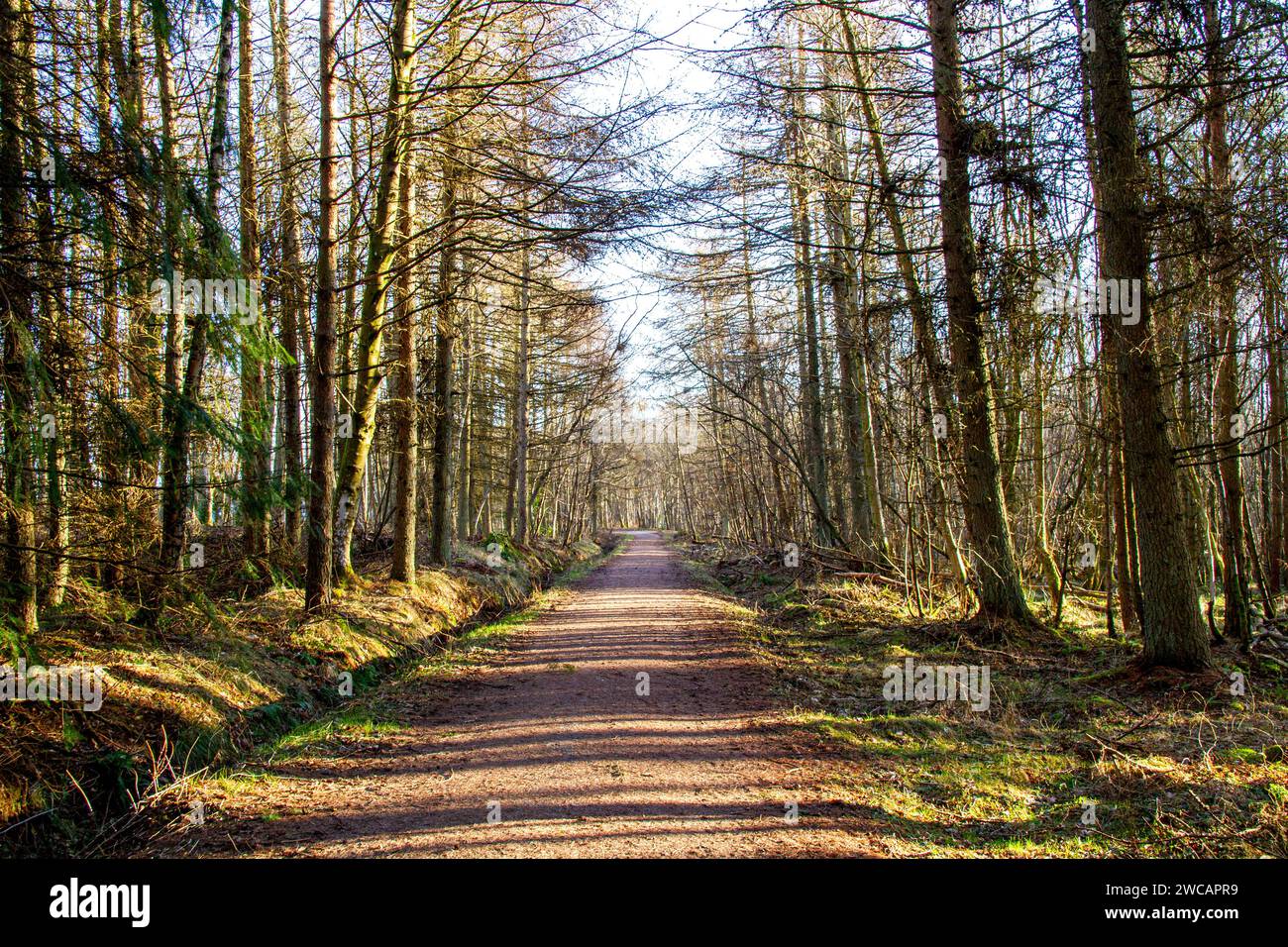 Dundee, Tayside, Schottland, Großbritannien. Januar 2024. Wetter in ...