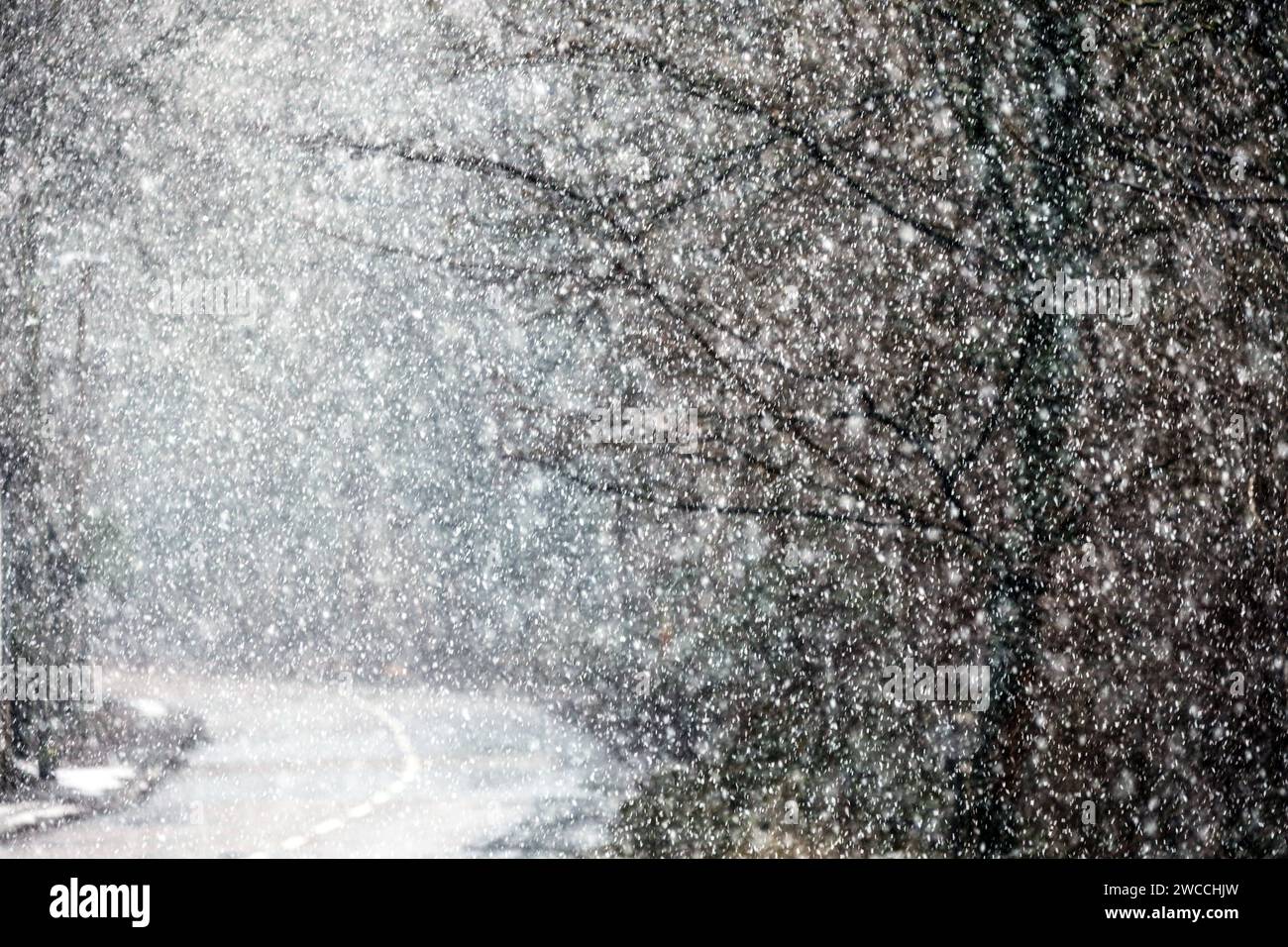 Schneefall in tiefen Lagen Deutschlands in seltenen Fällen erreichen ...