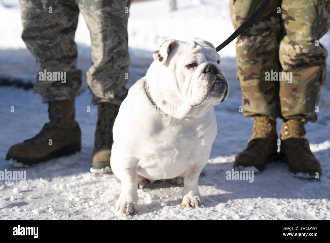 Der stellvertretende Vorsitzende der Joint Chiefs of Staff Air Force ...