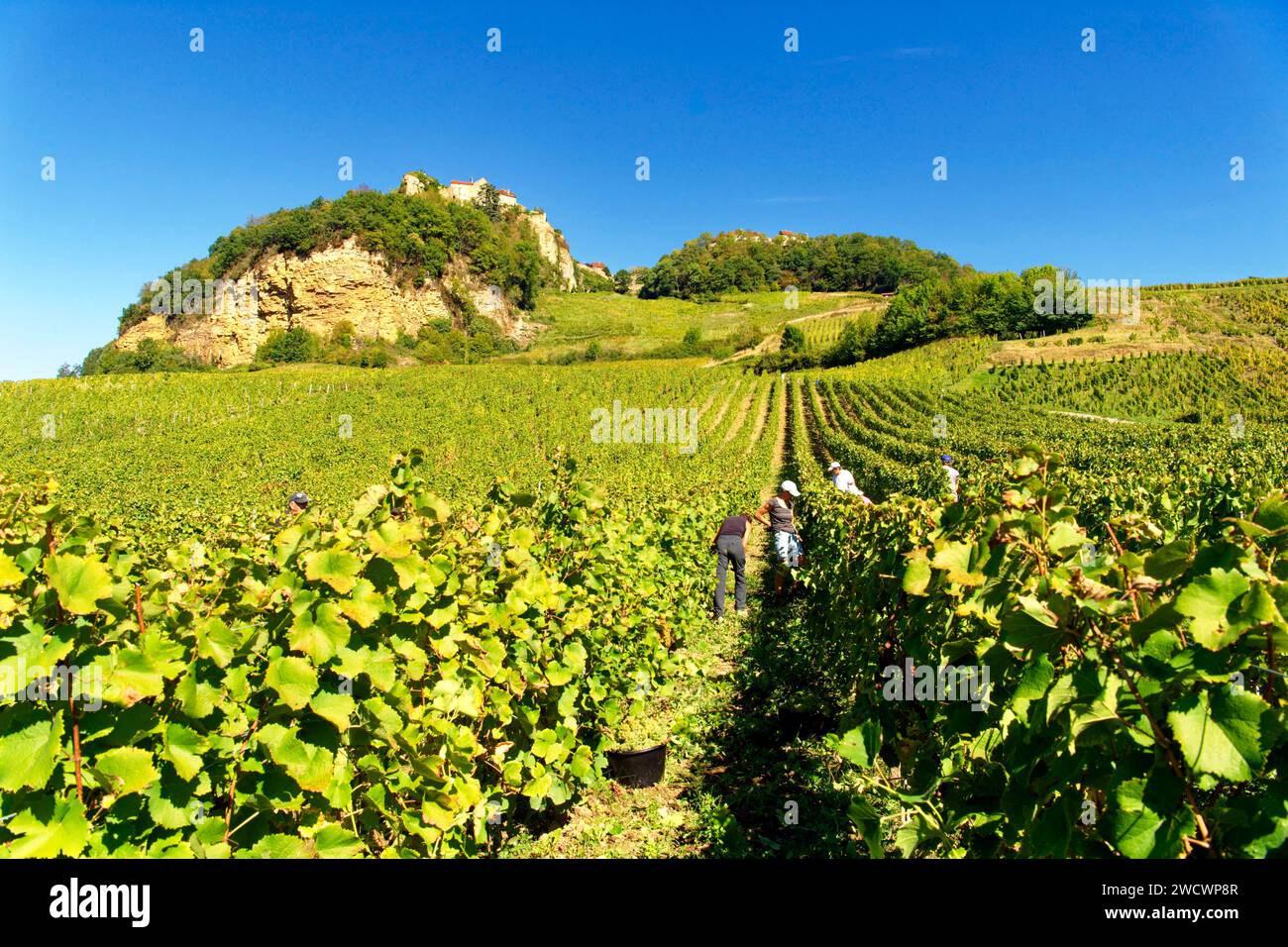 Frankreich, Jura, Chateau Chalon, beschriftet Les Plus Beaux Villages ... Frankreich, Jura, Chateau Chalon, beschriftet Les Plus Beaux Villages ...