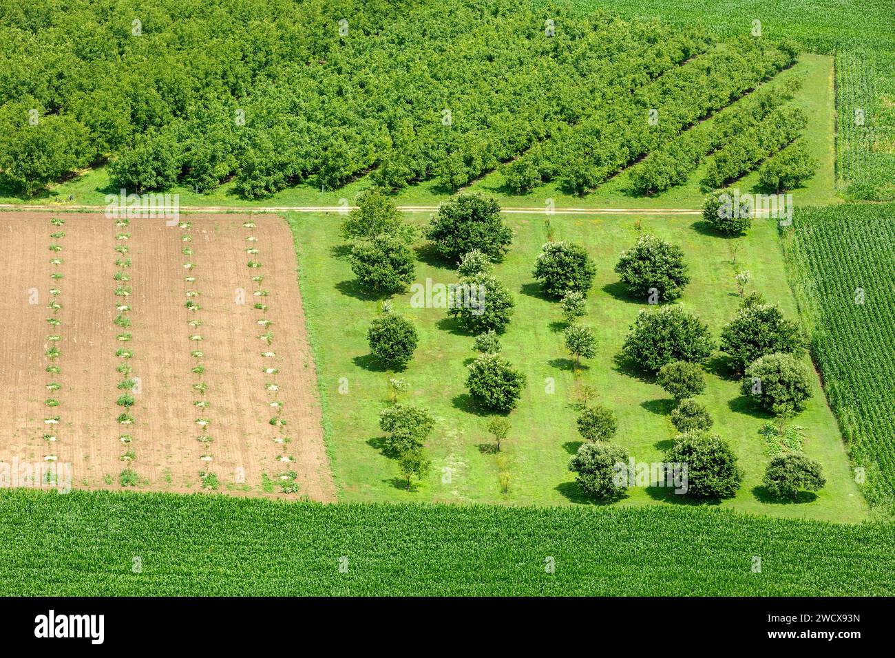 Frankreich, Dordogne, Dordogne-Tal, Perigord Noir, Domme mit Les Plus ...