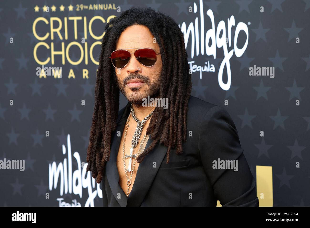 Lenny Kravitz bei der Verleihung der 29. Critics Choice Awards im ...