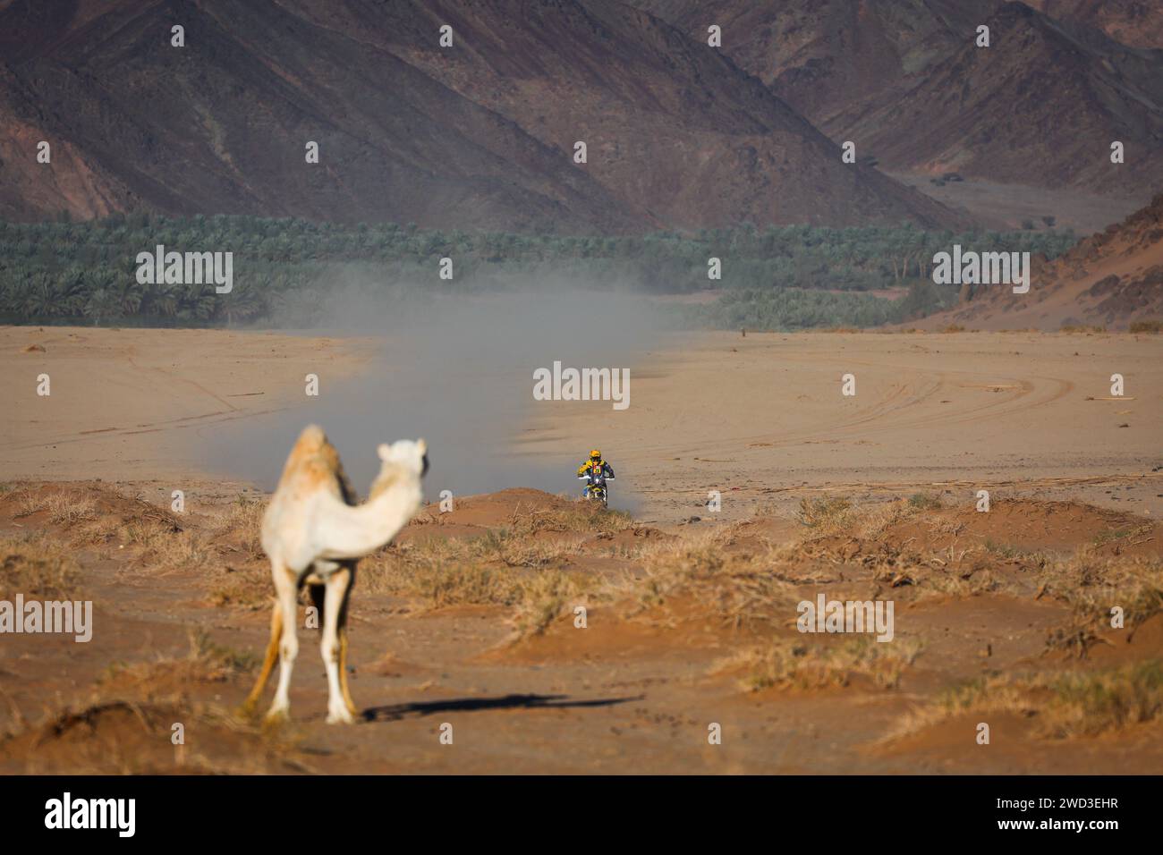 23 MICHEK Martin (cze), Orion - Moto Racing Group, KTM, Moto, Action ...