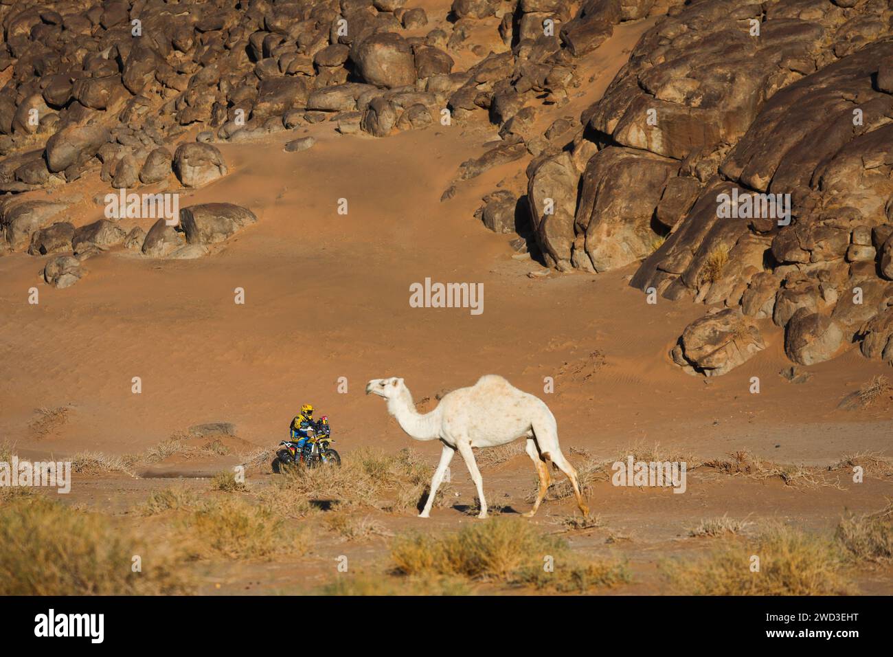 23 MICHEK Martin (cze), Orion - Moto Racing Group, KTM, Moto, Action ...