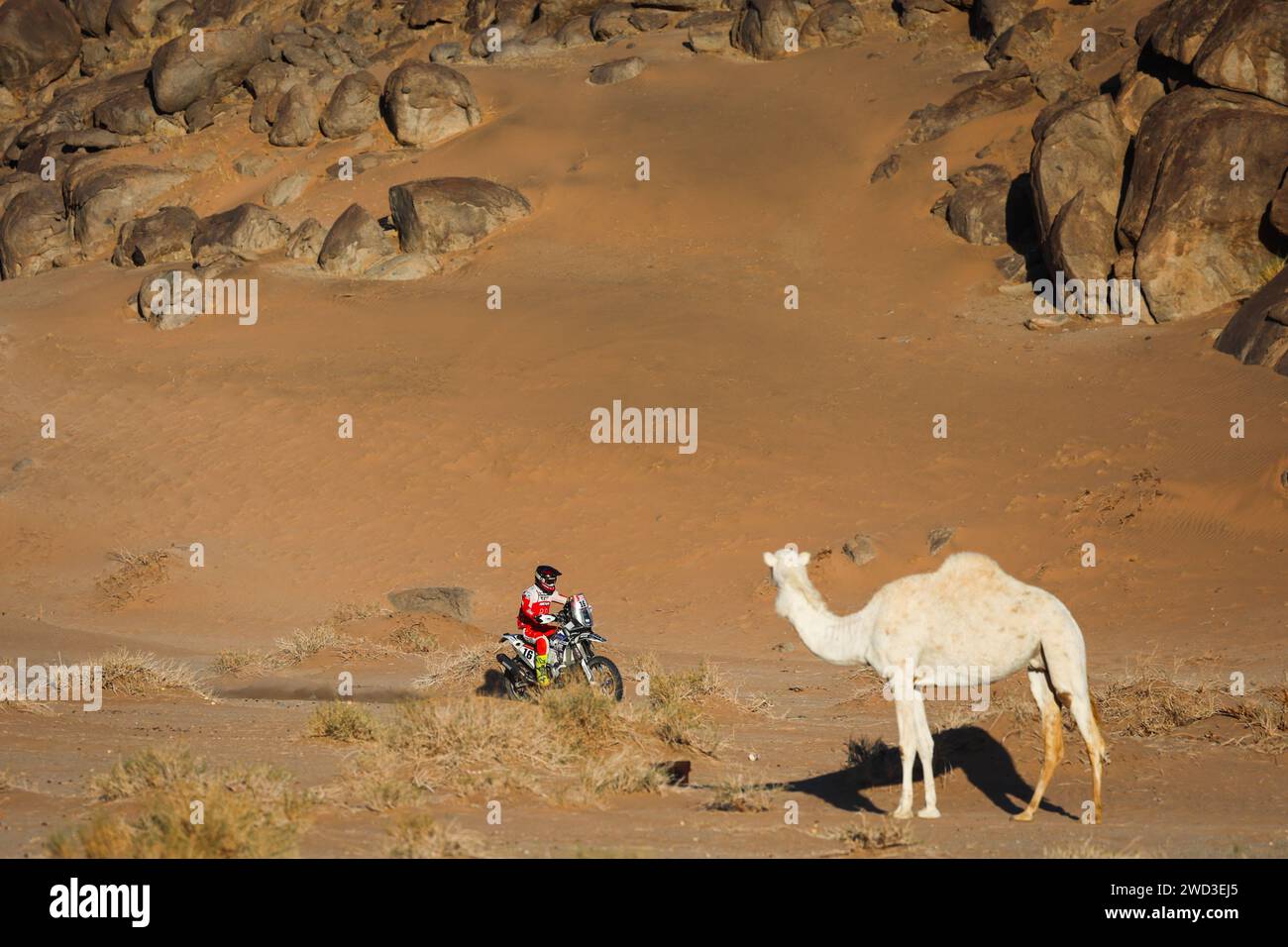 16 DUMONTIER Romain (fra), Team Dumontier Racing, Husqvarna, Moto, FIM ...