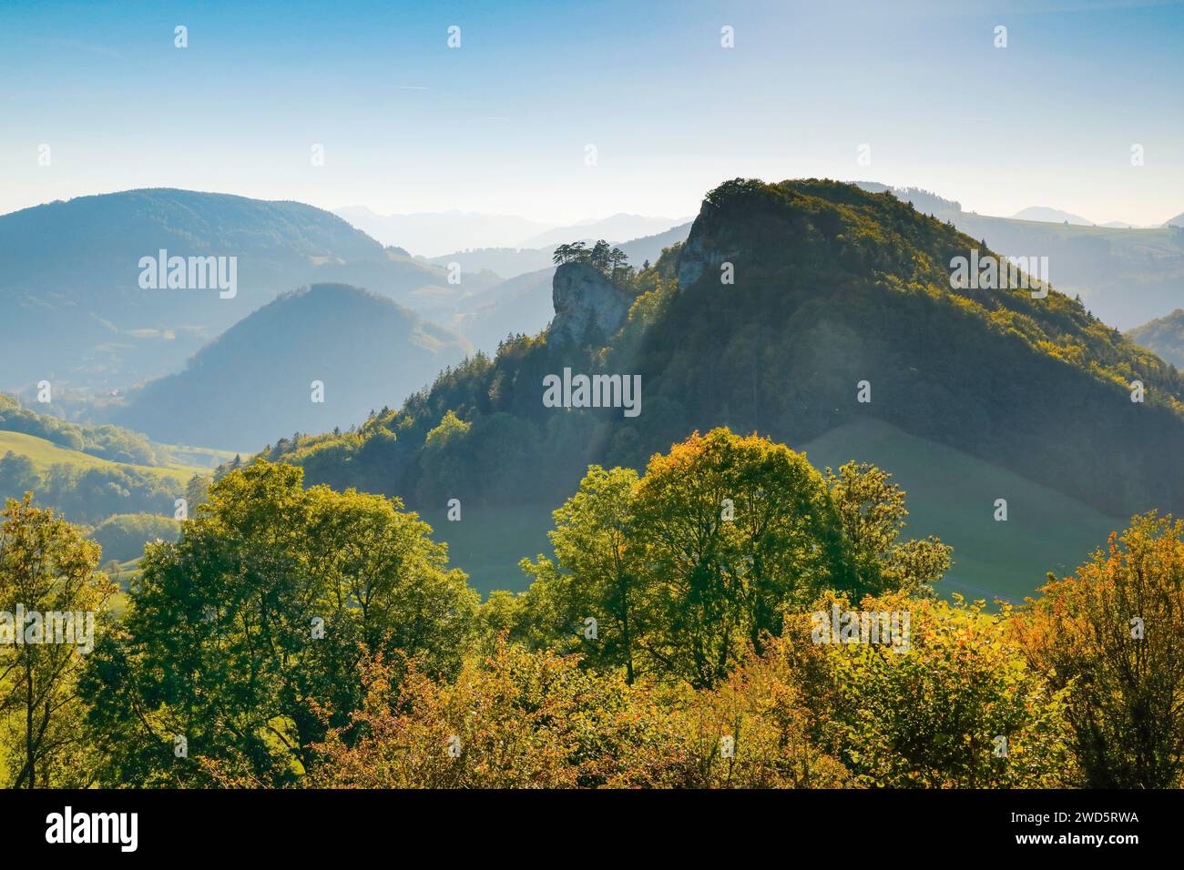 Silueta para colorear -Fotos und -Bildmaterial in hoher Auflösung – Alamy