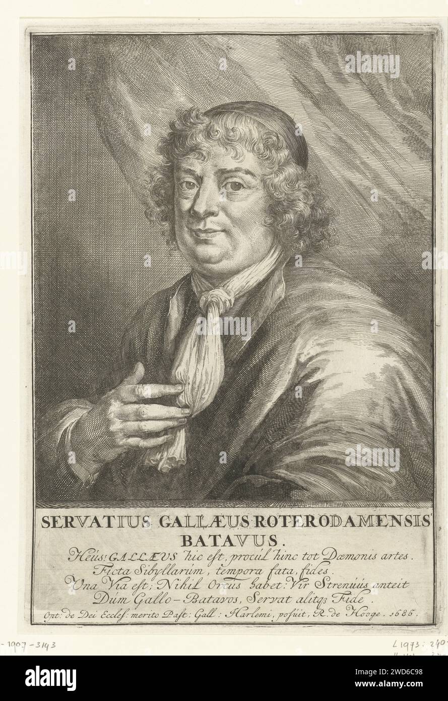 Servatius gallaeus -Fotos und -Bildmaterial in hoher Auflösung – Alamy