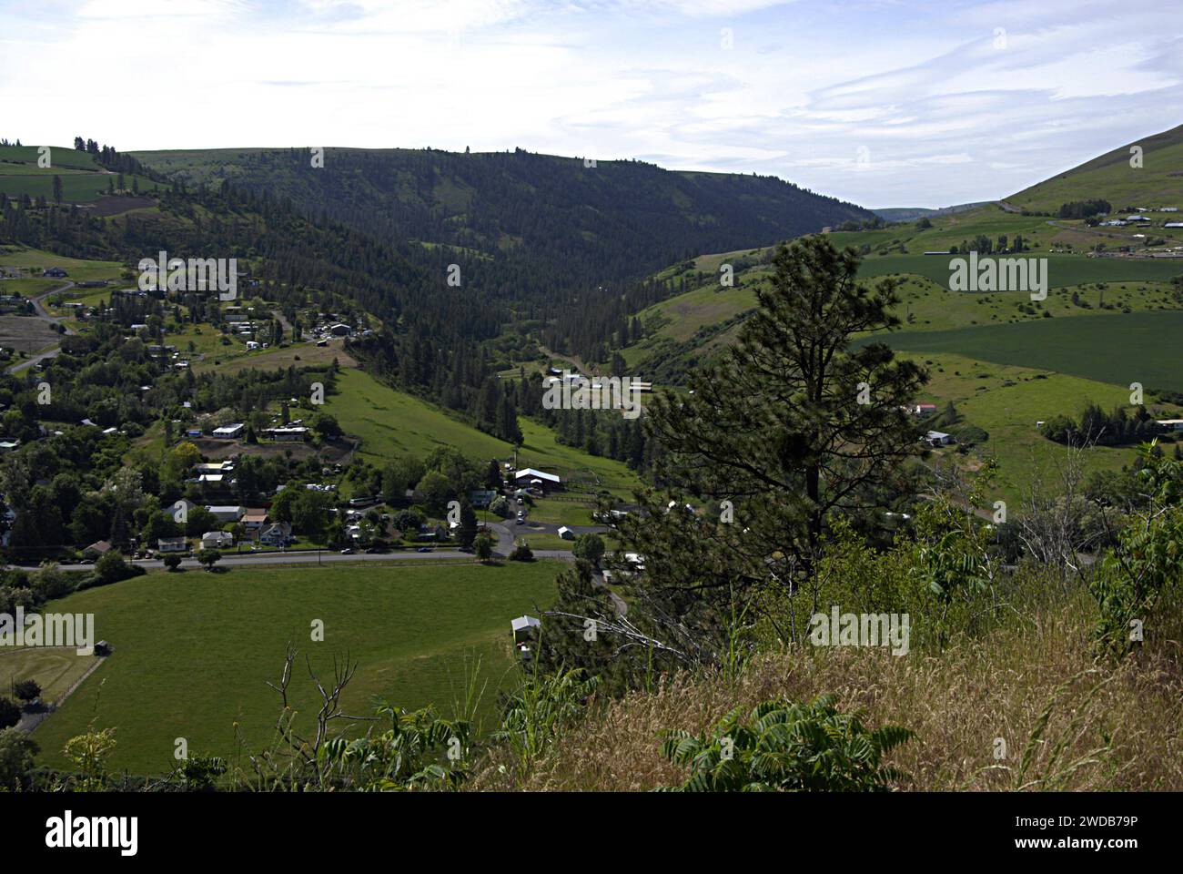 JULIAETTA/IDAHO/USA- Wohngebiete und Hügel Juliaetta juliaetta nme ...