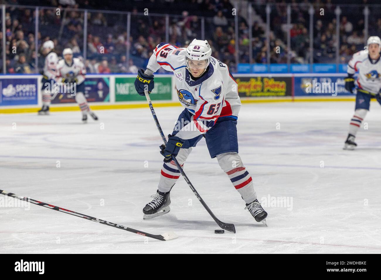 20. Januar 2024: Springfield Thunderbirds Stürmer Matthew Peca (63 ...