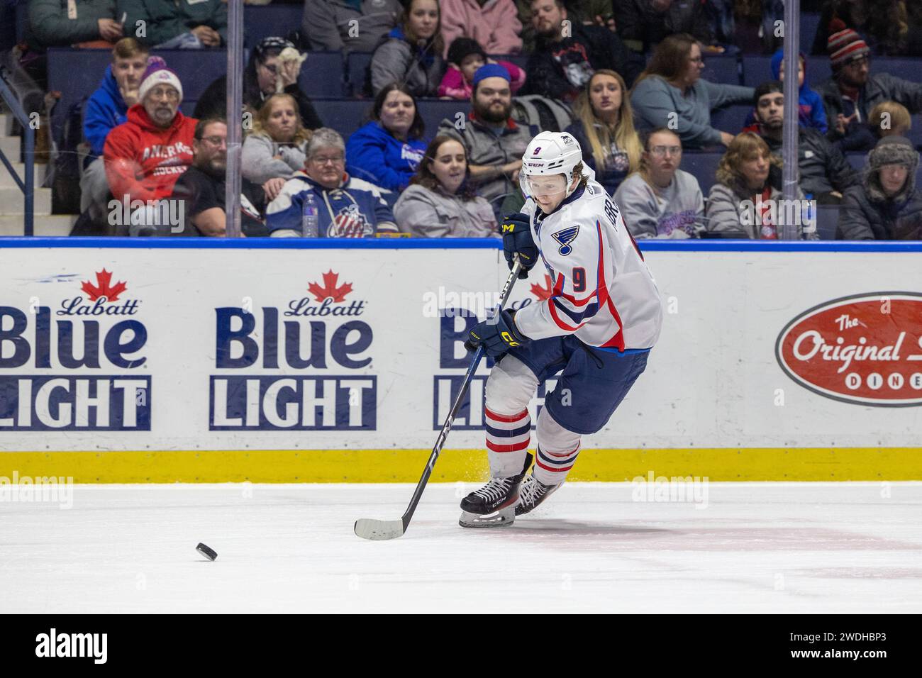 20. Januar 2024: Springfield Thunderbirds Stürmer Mikhail Abramov (9 ...