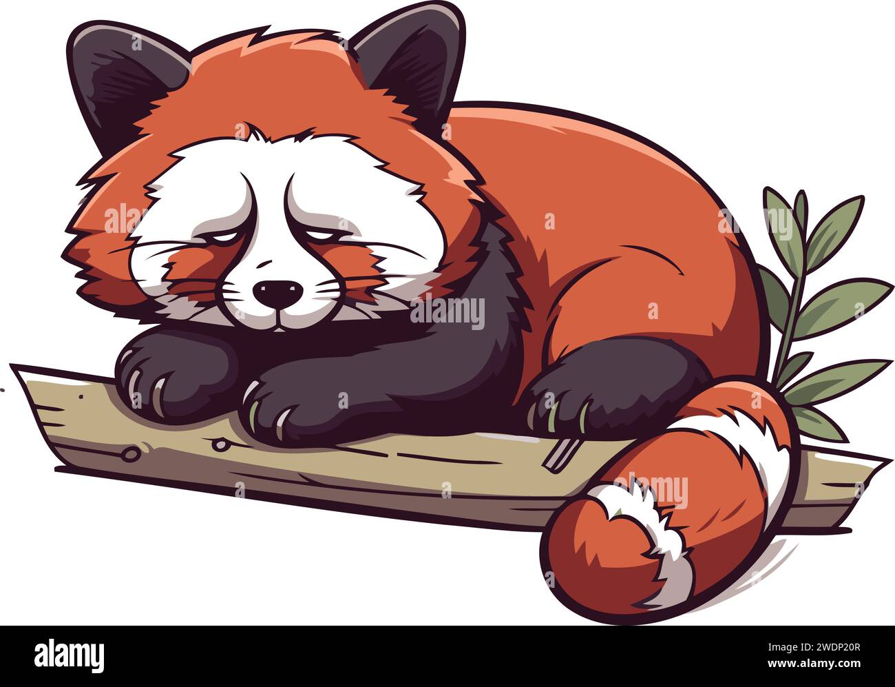 Roter panda auf einem ast Ausgeschnittene Stockfotos und -bilder - Alamy