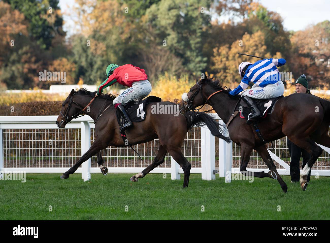 Ascot, Großbritannien. November 2023. Horse Supreme Gift (Nr. 4 ...