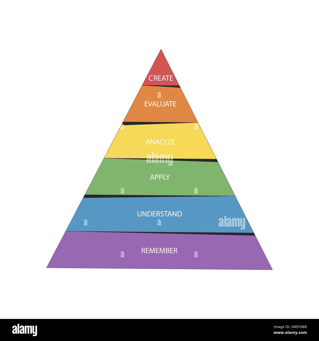 Taxonomie klassifizierung -Fotos und -Bildmaterial in hoher Auflösung – Alamy