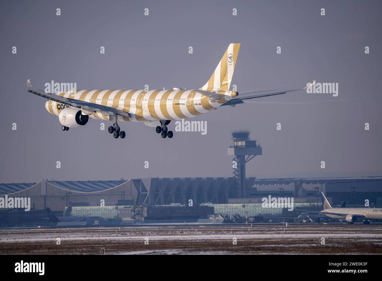 Condor Airbus A330-900 beim Landeanflug auf den Flughafen Frankfurt FRA, Fraport, im Winter ...