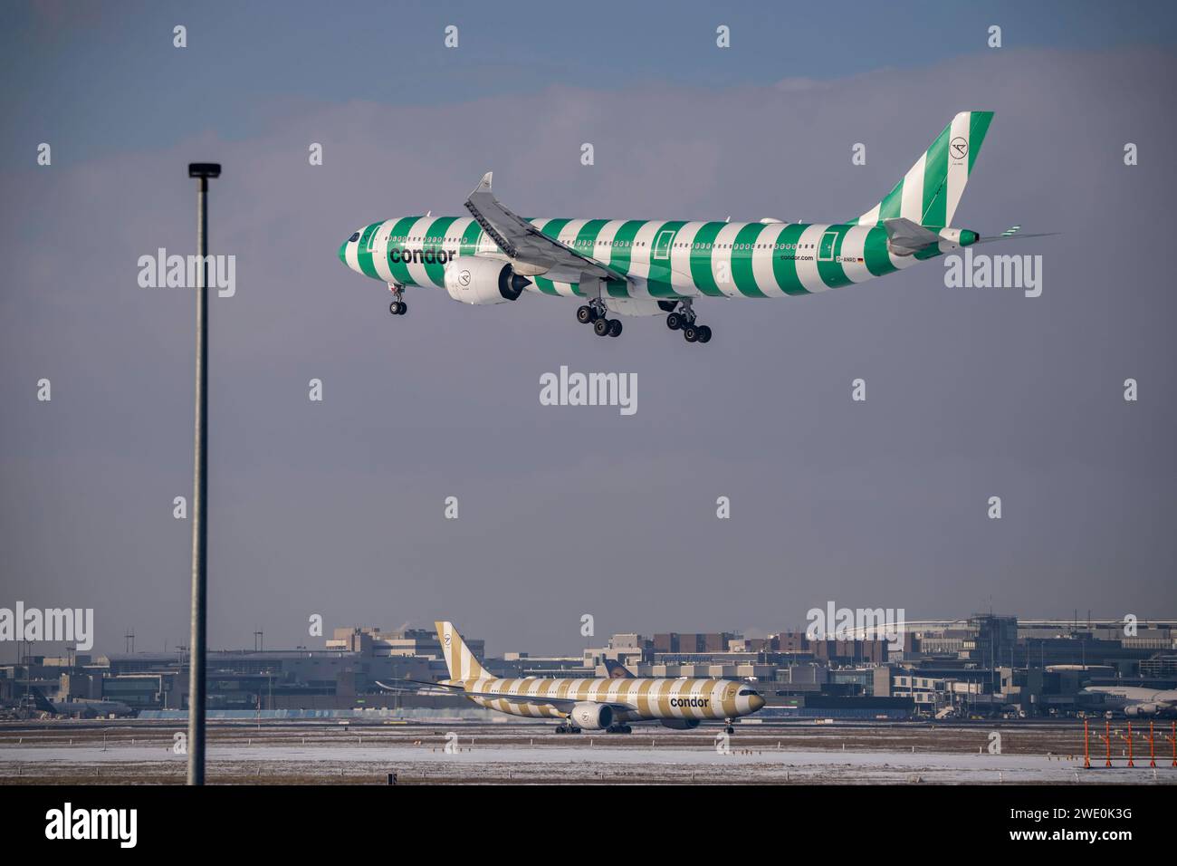 Condor Airbus A330-900 im Landeanflug auf den Flughafen Frankfurt FRA und auf dem Rollweg ...
