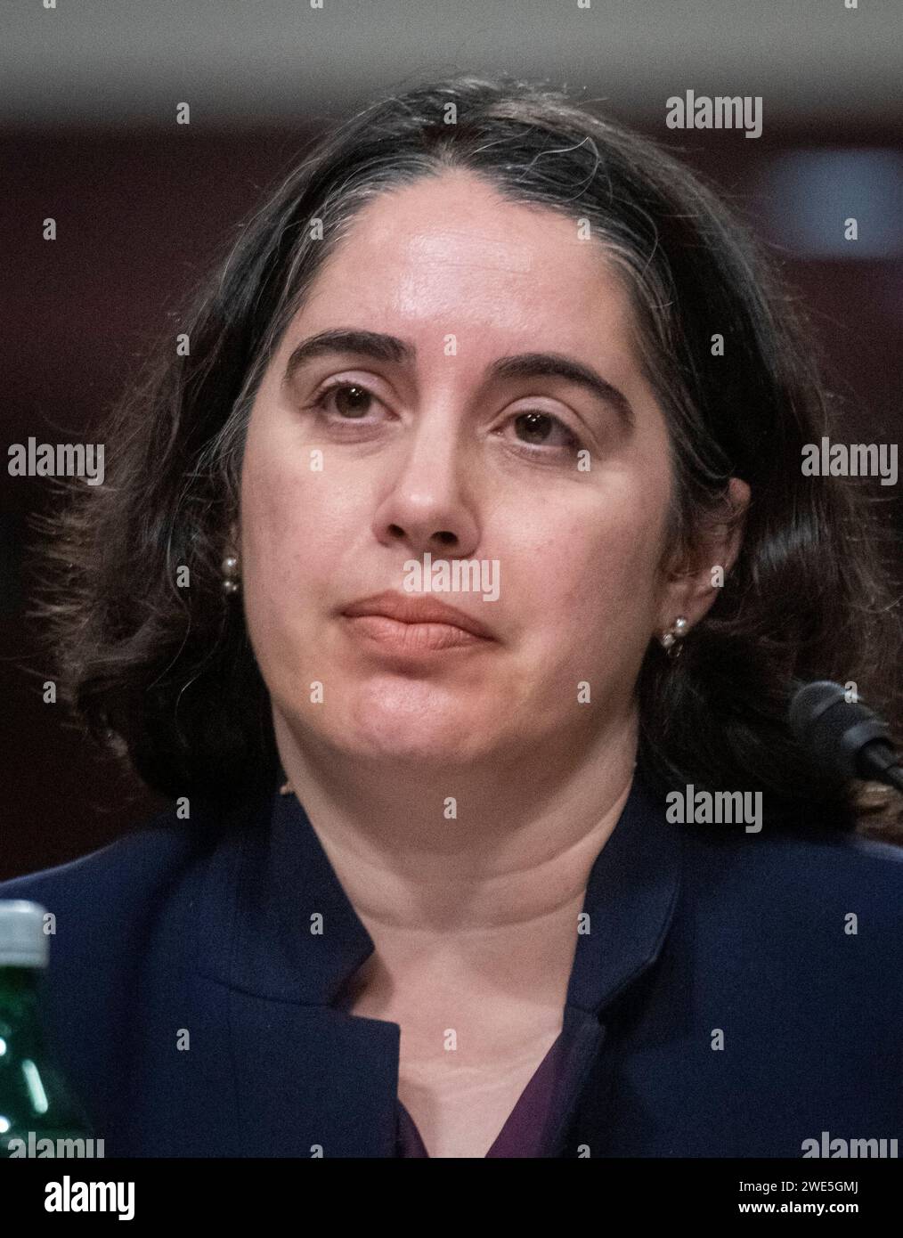 Washington, Usa. Januar 2024. Melissa Griffin Dalton erscheint am ...