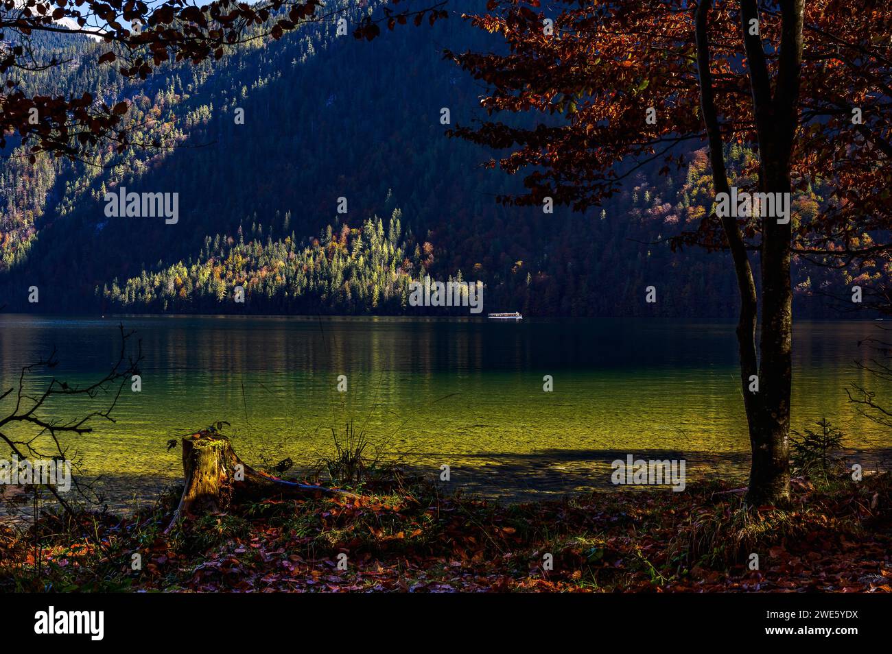 Alter Holzstamm mit Wurzeln im See, touristische Bootsfahrt/Schifffahrt ...