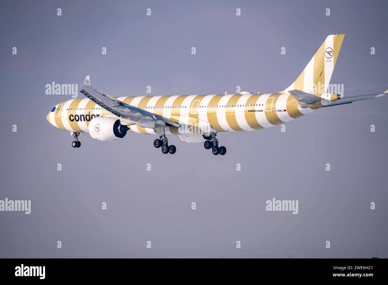 Condor Airbus A330-900 im Landeanflug auf den Flughafen Frankfurt FRA, Fraport, im Winter ...