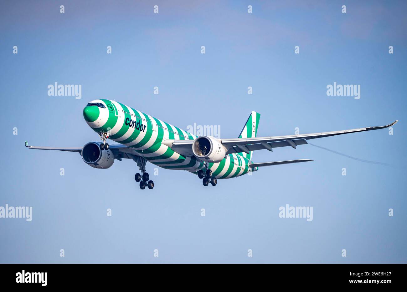 Condor Airbus A330-900, Landeanflug auf den Flughafen Frankfurt FRA, Fraport, im Winter, Hessen ...