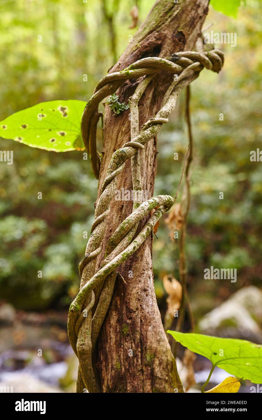 Verdrehte spuren -Fotos und -Bildmaterial in hoher Auflösung – Alamy