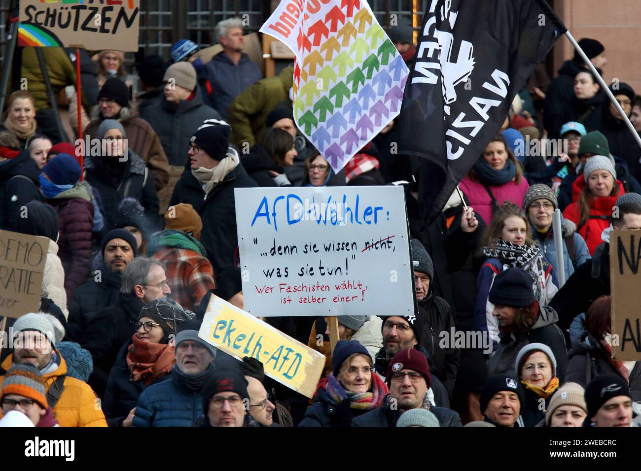 Kundgebung gegen die AfD und Rechtsextremismus - Deutschland, Deutschland, Frankfurt am Main, 20 ...