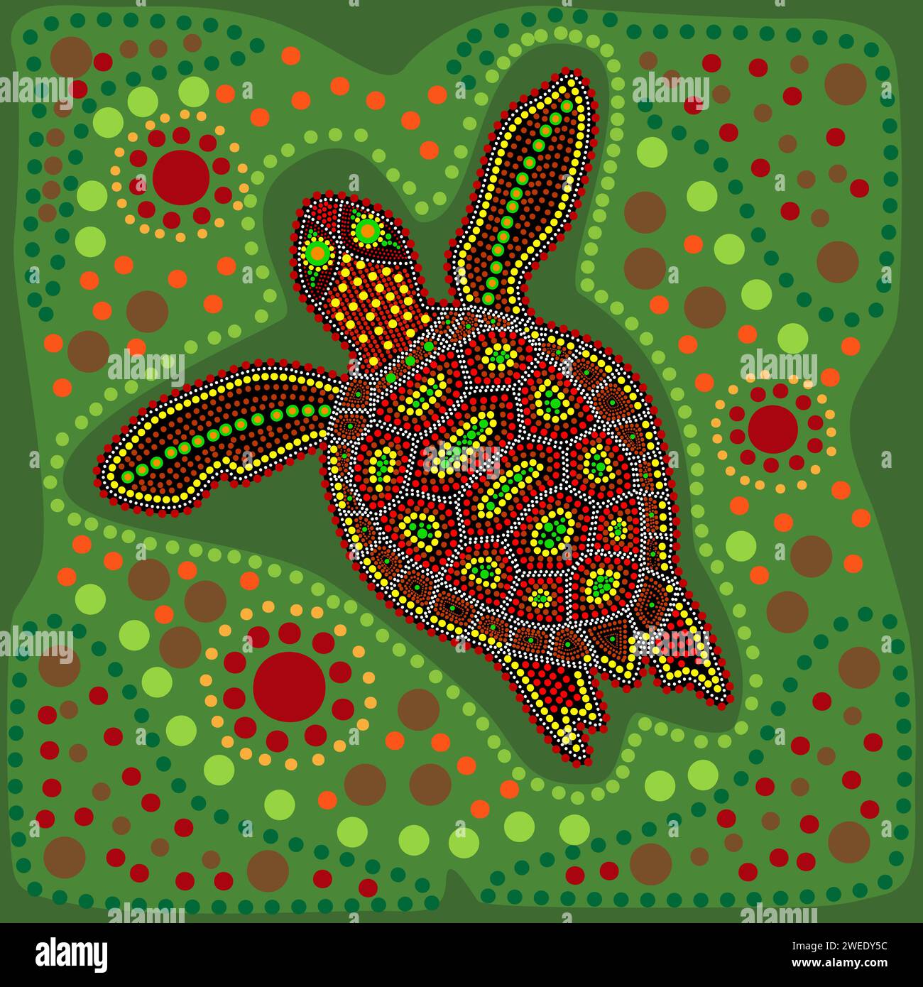 Australische einheimische schildkröte Stock-Vektorgrafiken kaufen - Alamy