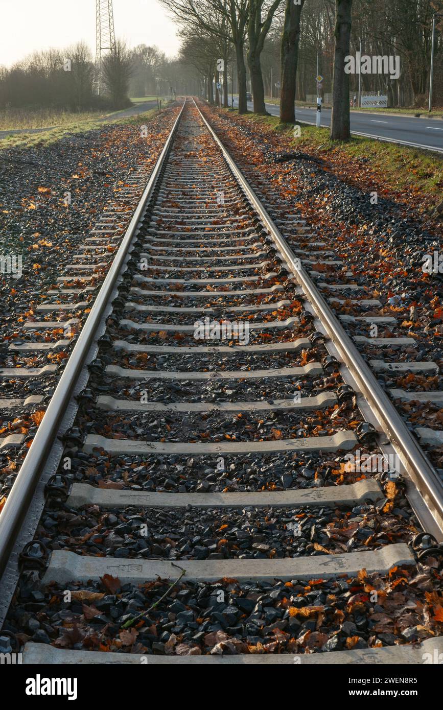 Stefan kokus -Fotos und -Bildmaterial in hoher Auflösung – Alamy