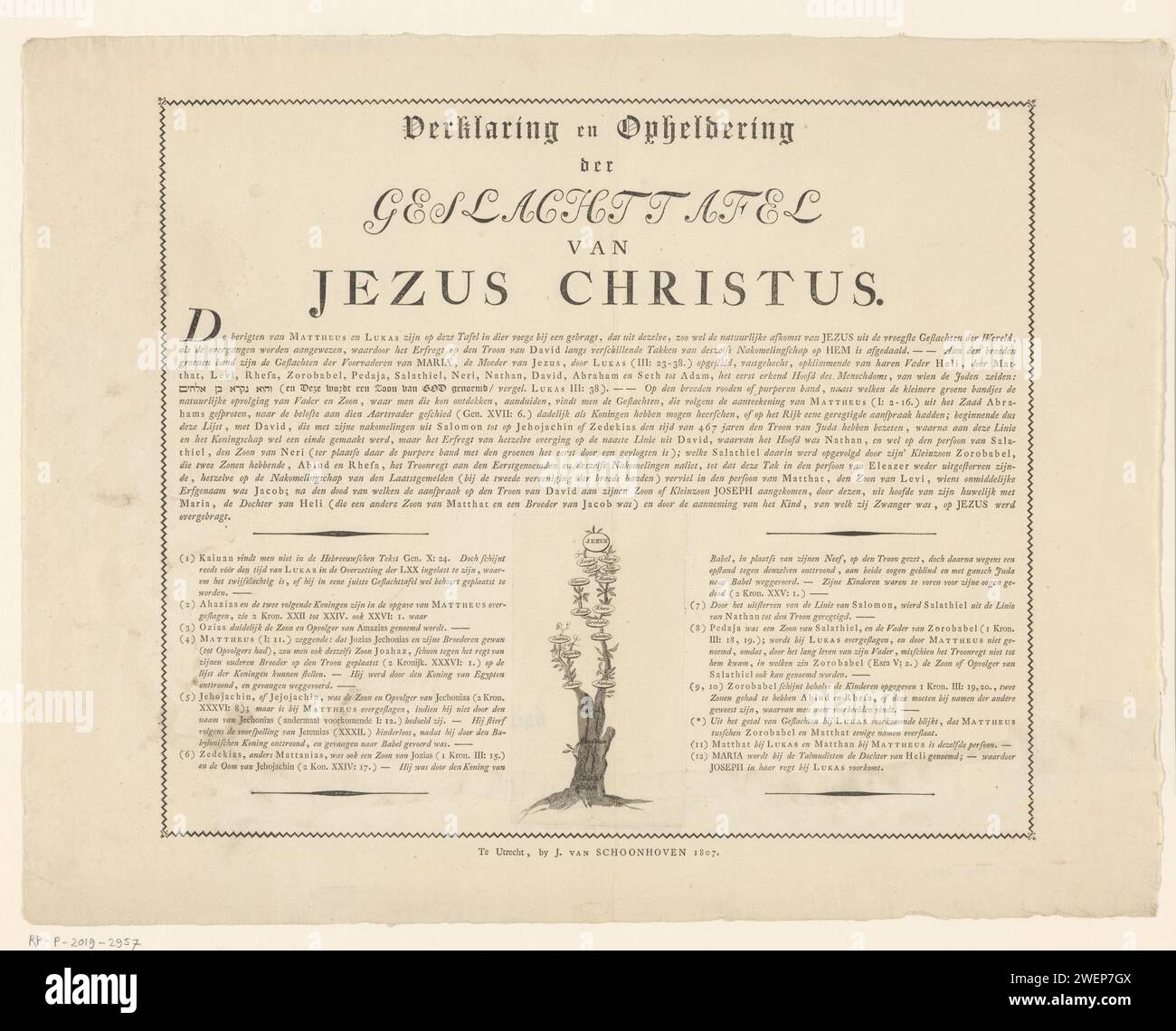 Stammbaum abstammung -Fotos und -Bildmaterial in hoher Auflösung – Alamy