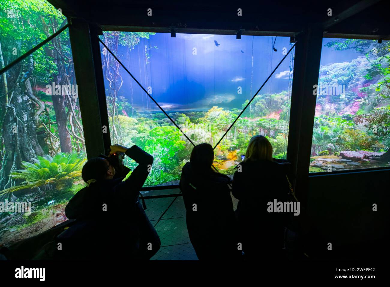 Panometer Dresden AMAZONIEN Faszination tropischer Regenwald ist ein ...