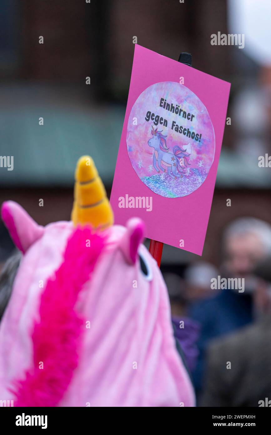 Demonstration gegen die AFD und Rechtsradikalismus in Herne, NRW, Deutschland, Anti-AFD-Demo ...