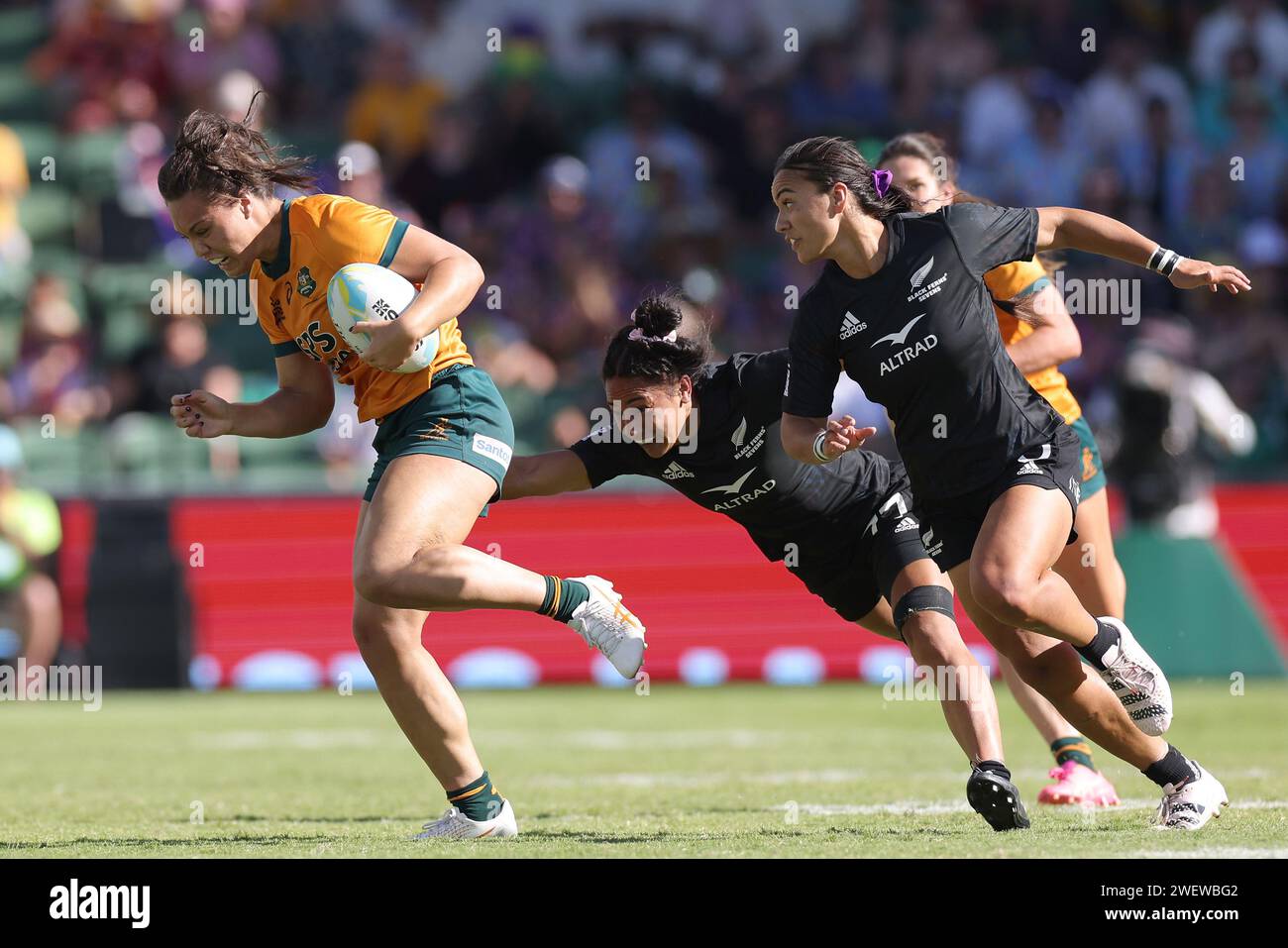 Perth, Australien. Januar 2024. Die australische Bienne Terita wird am ...