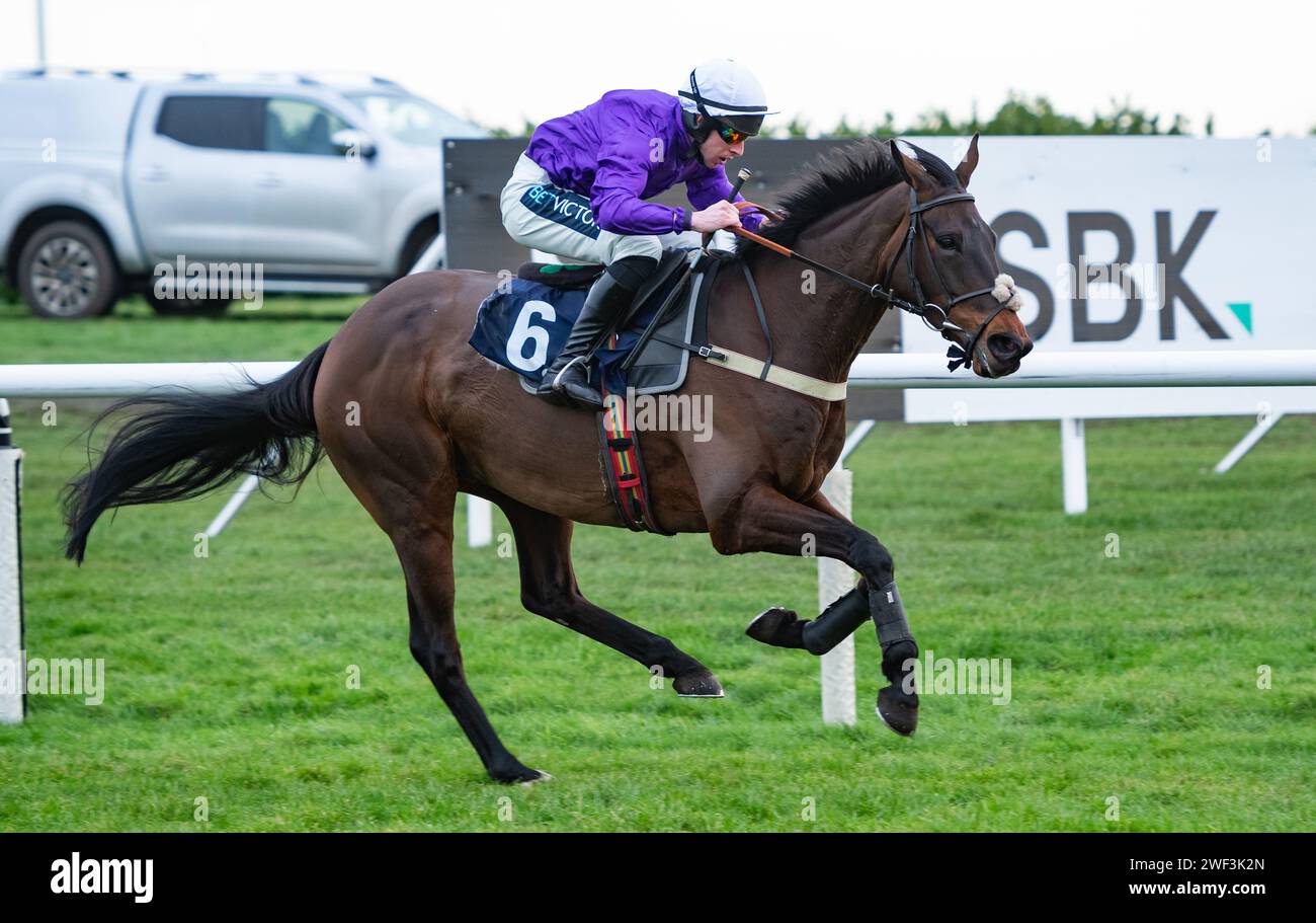 Go north red rum series qualifikationsspiel -Fotos und -Bildmaterial in hoher Auflösung – Alamy