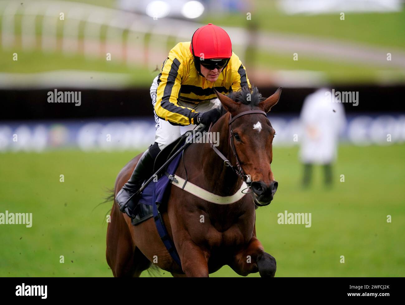 Georgia pa2024 pa2024 pa2024 pa2024 pa2024 pa2024 pa2024 -Fotos und ...