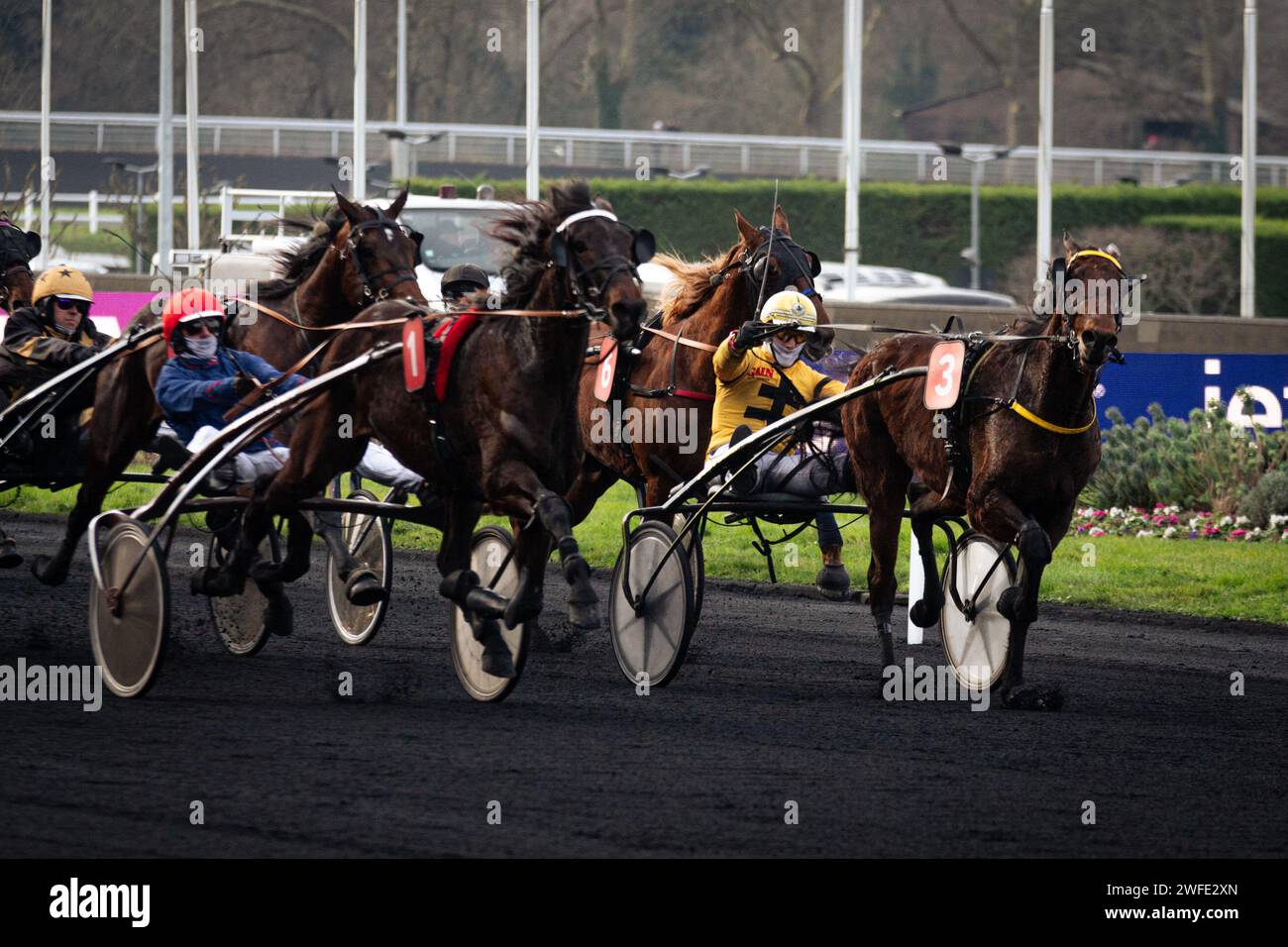 Die Pferde Jean Balthazar (R) und Joy for US (L) erreichten die ...