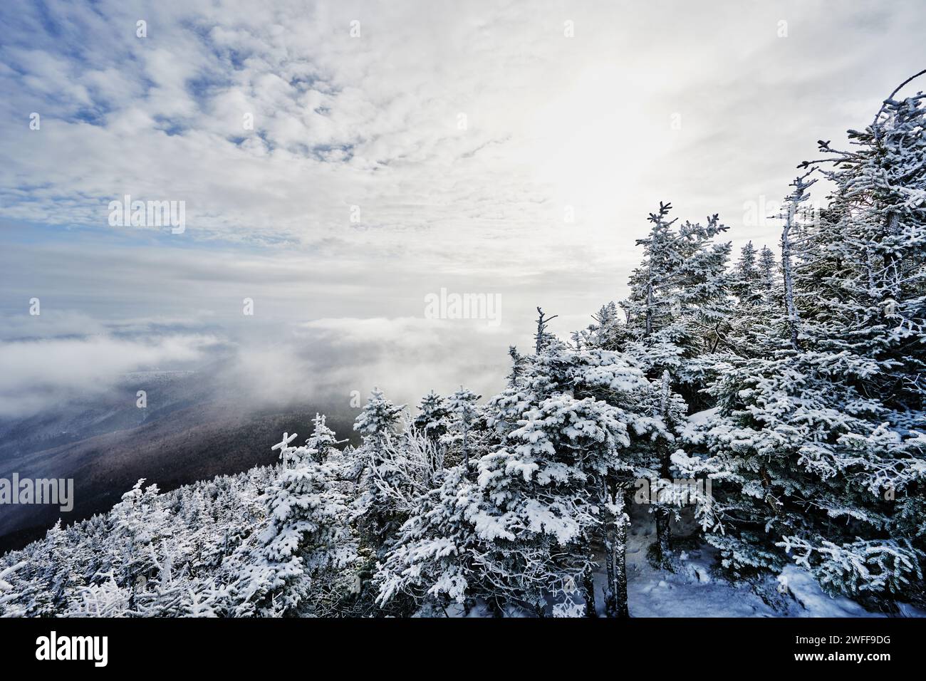 Mount tom -Fotos und -Bildmaterial in hoher Auflösung – Alamy
