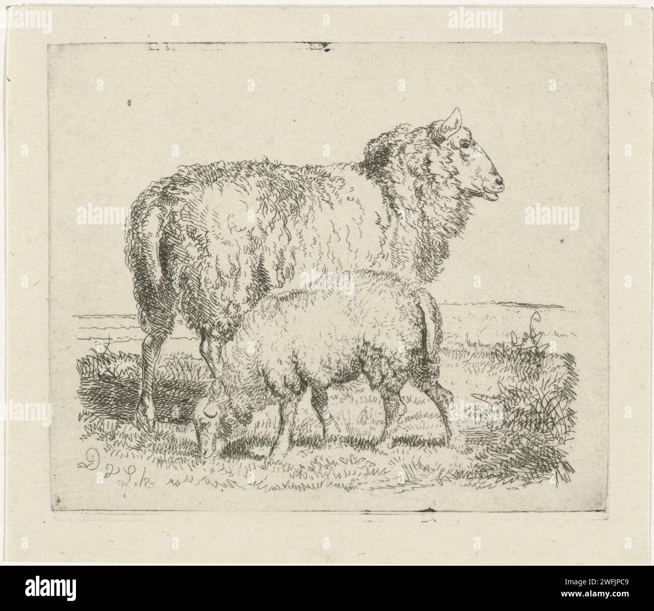 Schaap mit Lam, Dirk van Lokhorst, 1828 - 1893 Druckschafe mit ...