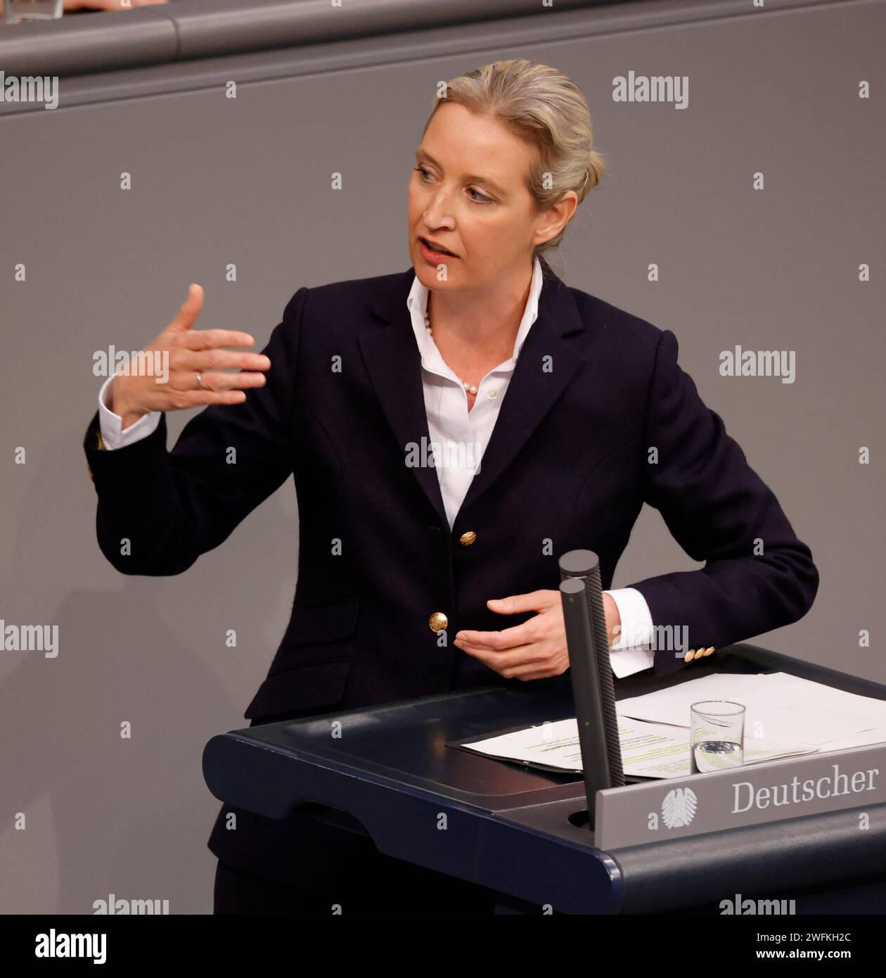 Alice Weidel , AfD, Deutschland, Berlin, Deutscher Bundestag, 150 ...