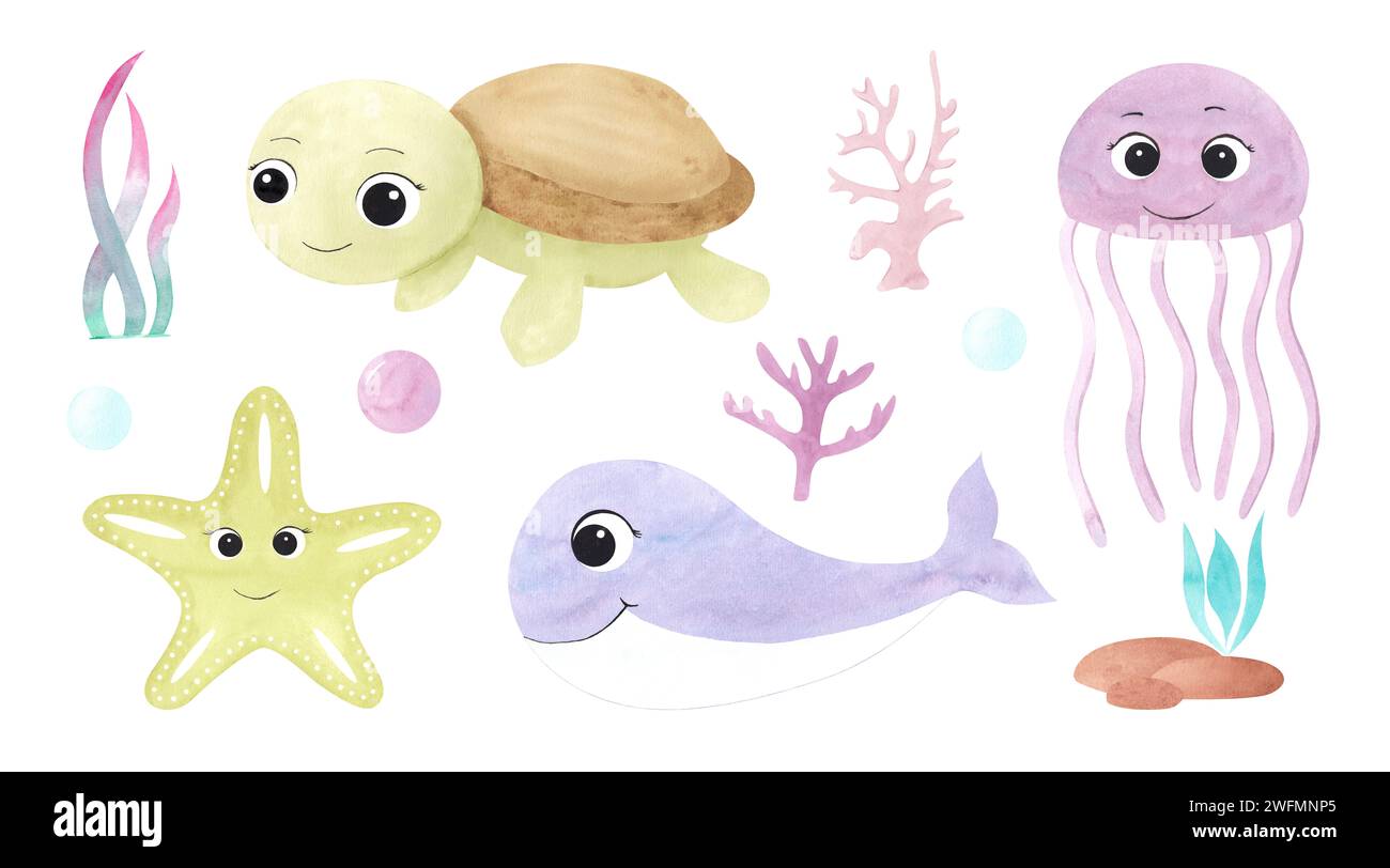 Blauwal augen -Fotos und -Bildmaterial in hoher Auflösung – Alamy