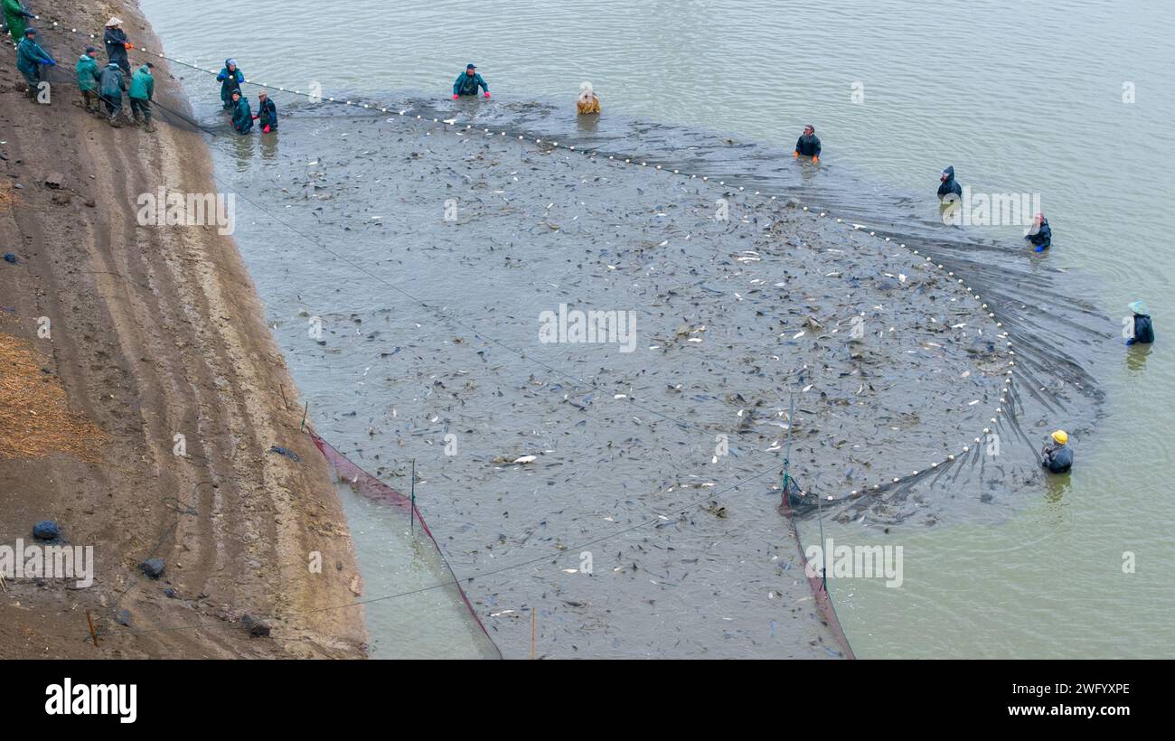 SUZHOU, CHINA - 2. FEBRUAR 2024 - Fischer fangen am Cheng Lake ...